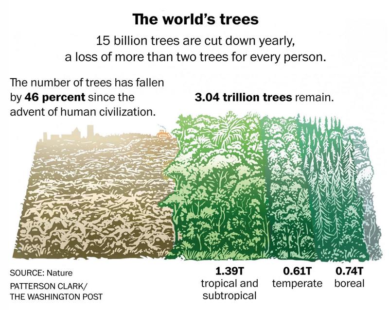 Scientists discover that the world contains dramatically more trees ...