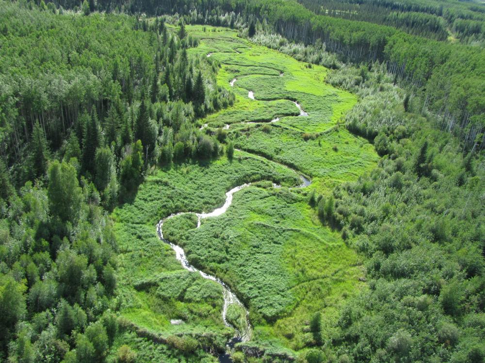 Alberta shows it is serious about protecting natural areas | Boreal ...